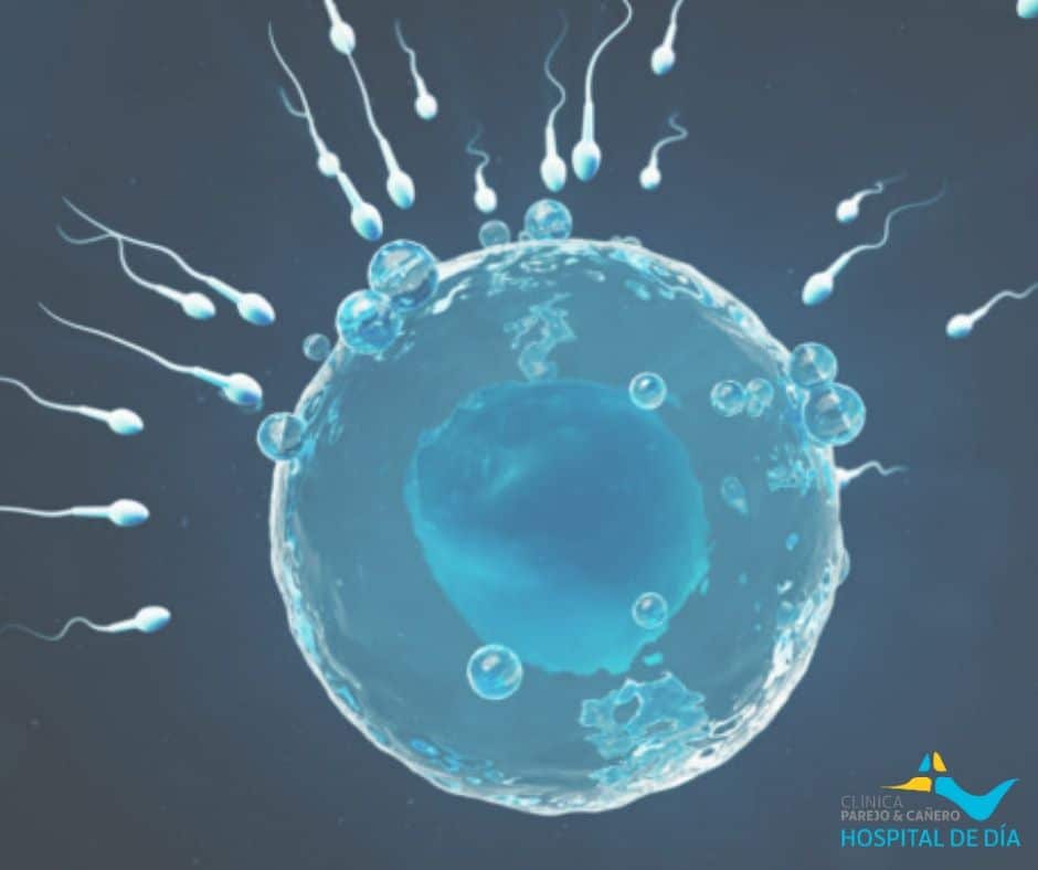 Seminograma / Espermiograma - Hospital de Día PyC
